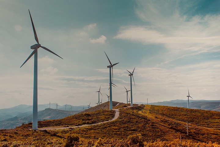 How Can IoT Help the Environment? | Verizon Business